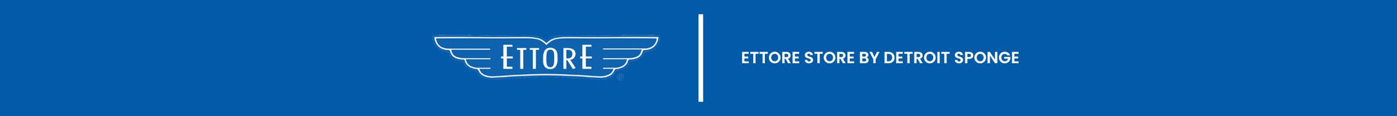 Ettore Window Cleaning Tools – Detroit Sponge